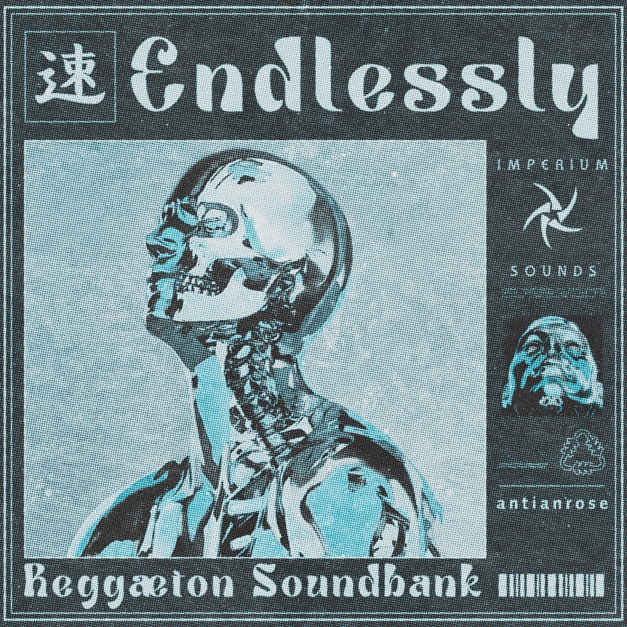 Endlessly - Reggaeton Sound-Kit – IMPERIUM SOUNDS